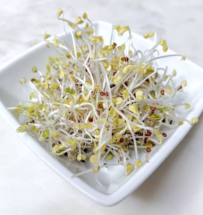 How To Grow Broccoli Sprouts At Home (Easy Method)