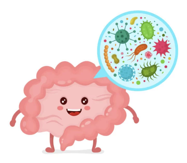 Gut Microbiome - Dr. Christina Carlyle